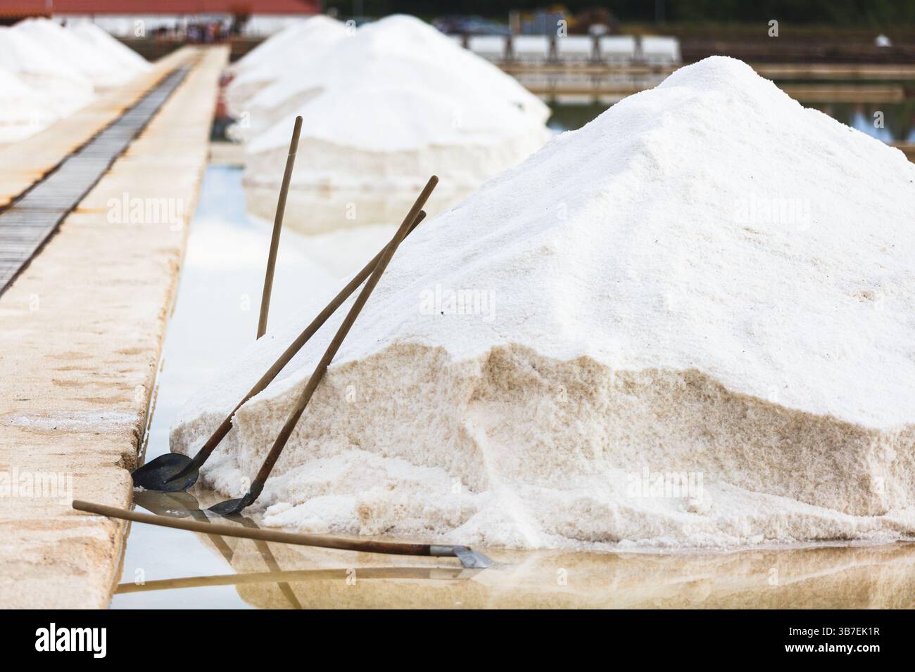 Traditional salt harvesting in coastal salt pans. Workers manually ...