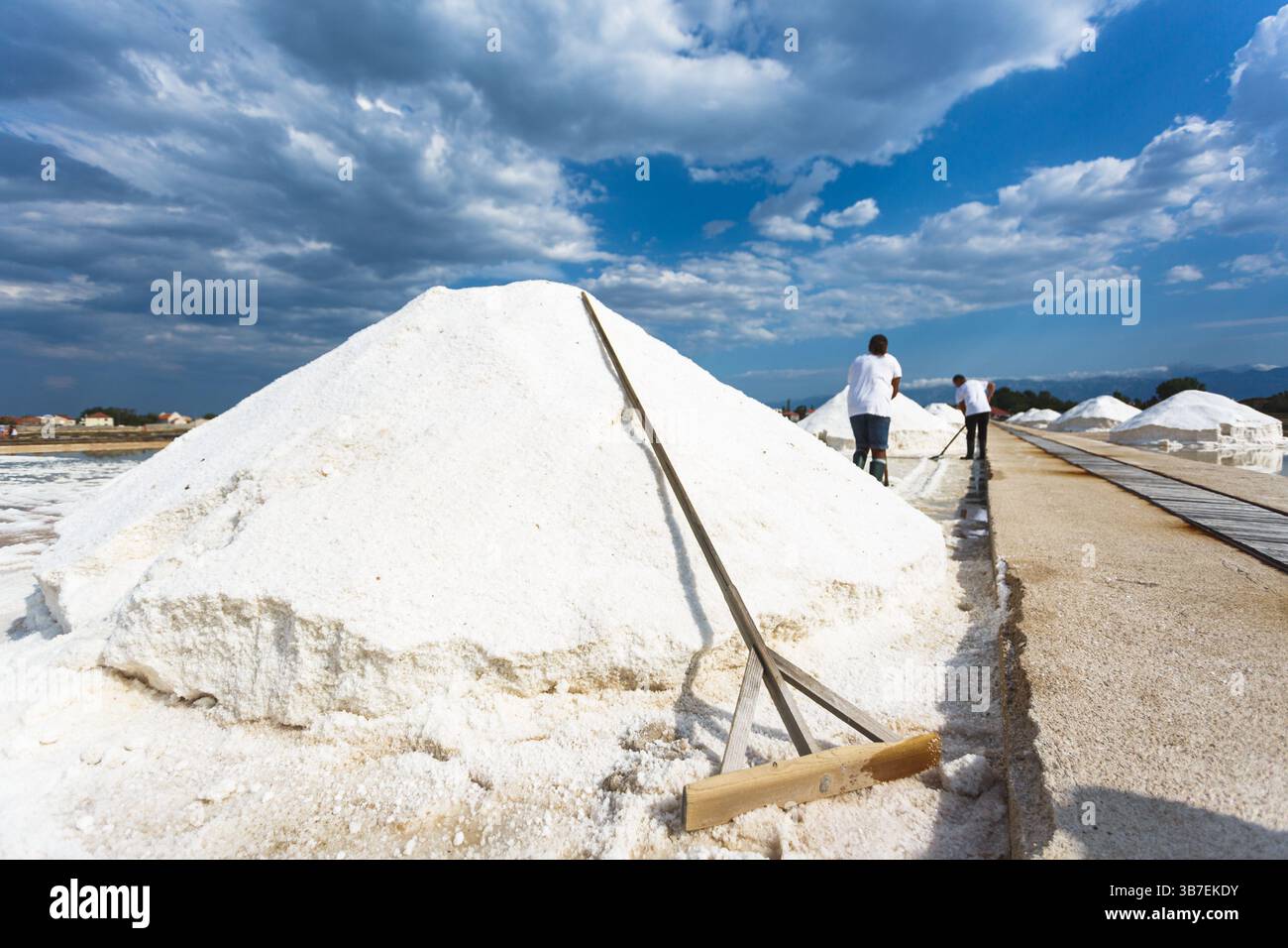 Traditional salt harvesting in coastal salt pans. Workers manually ...