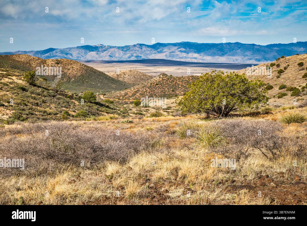 Perry Mesa, Bradshaw Mountains in far distance, view from Bloody Basin ...