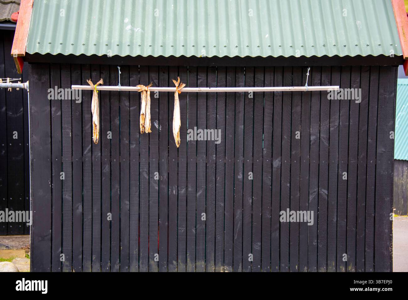 Air-Dried Fermented Fish - Faroe Islands Stock Photo - Alamy