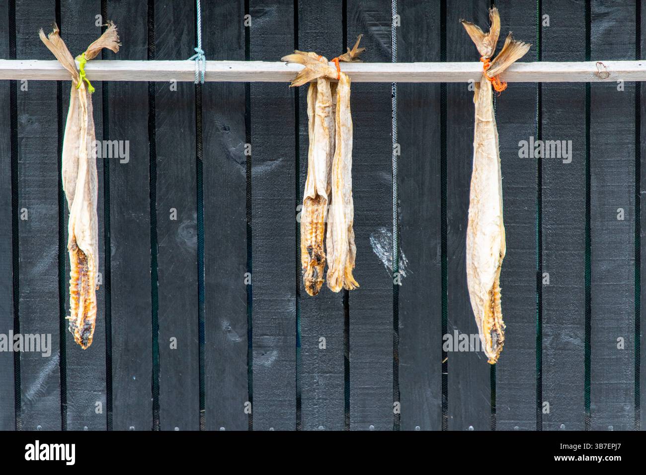 Air-Dried Fermented Fish - Faroe Islands Stock Photo - Alamy
