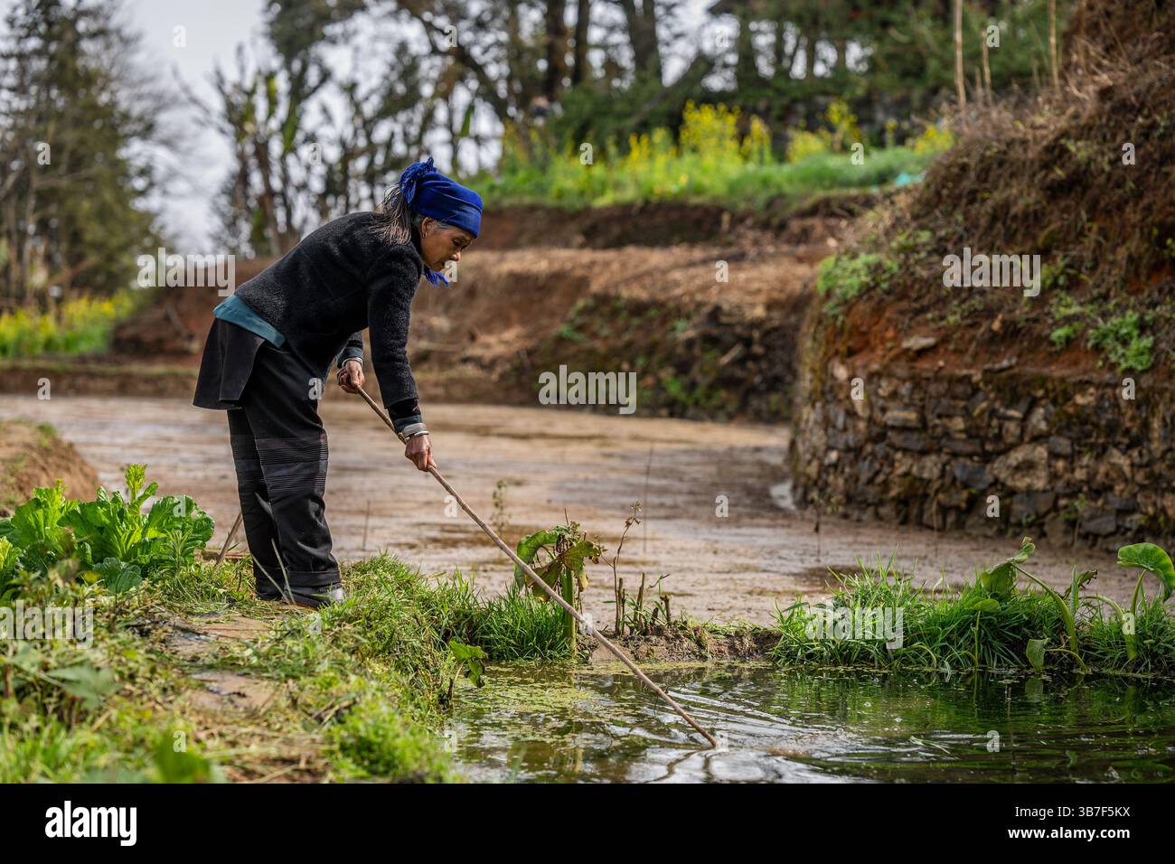 (250506) -- KUNMING, May 6, 2025 (Xinhua) -- A villager clears the ...