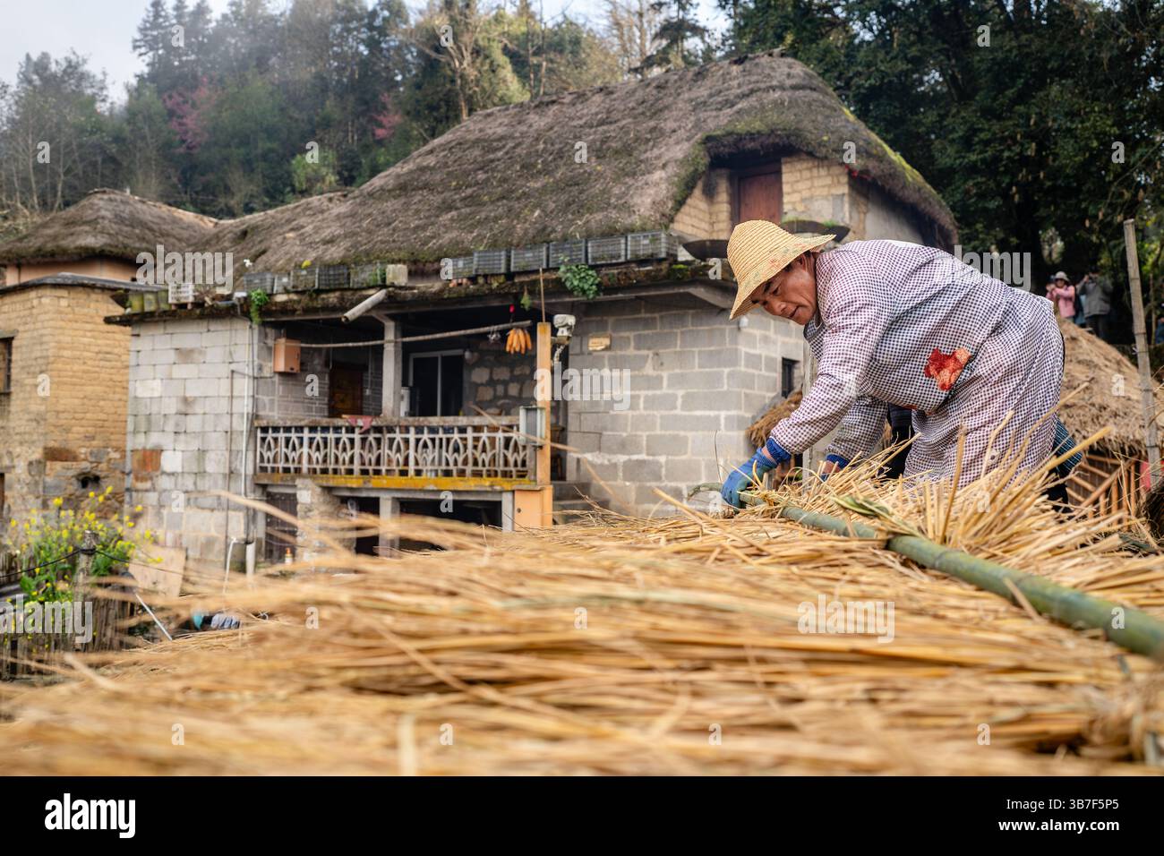 (250506) -- KUNMING, May 6, 2025 (Xinhua) -- A villager maintains the ...