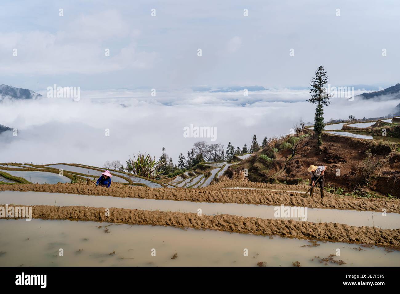 (250506) -- KUNMING, May 6, 2025 (Xinhua) -- Villagers maintain the ...