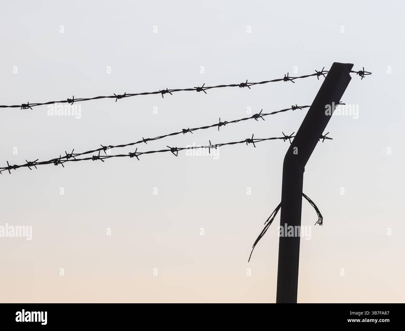 A barbed wire fence stands tall against a fading light in Gothenburg ...