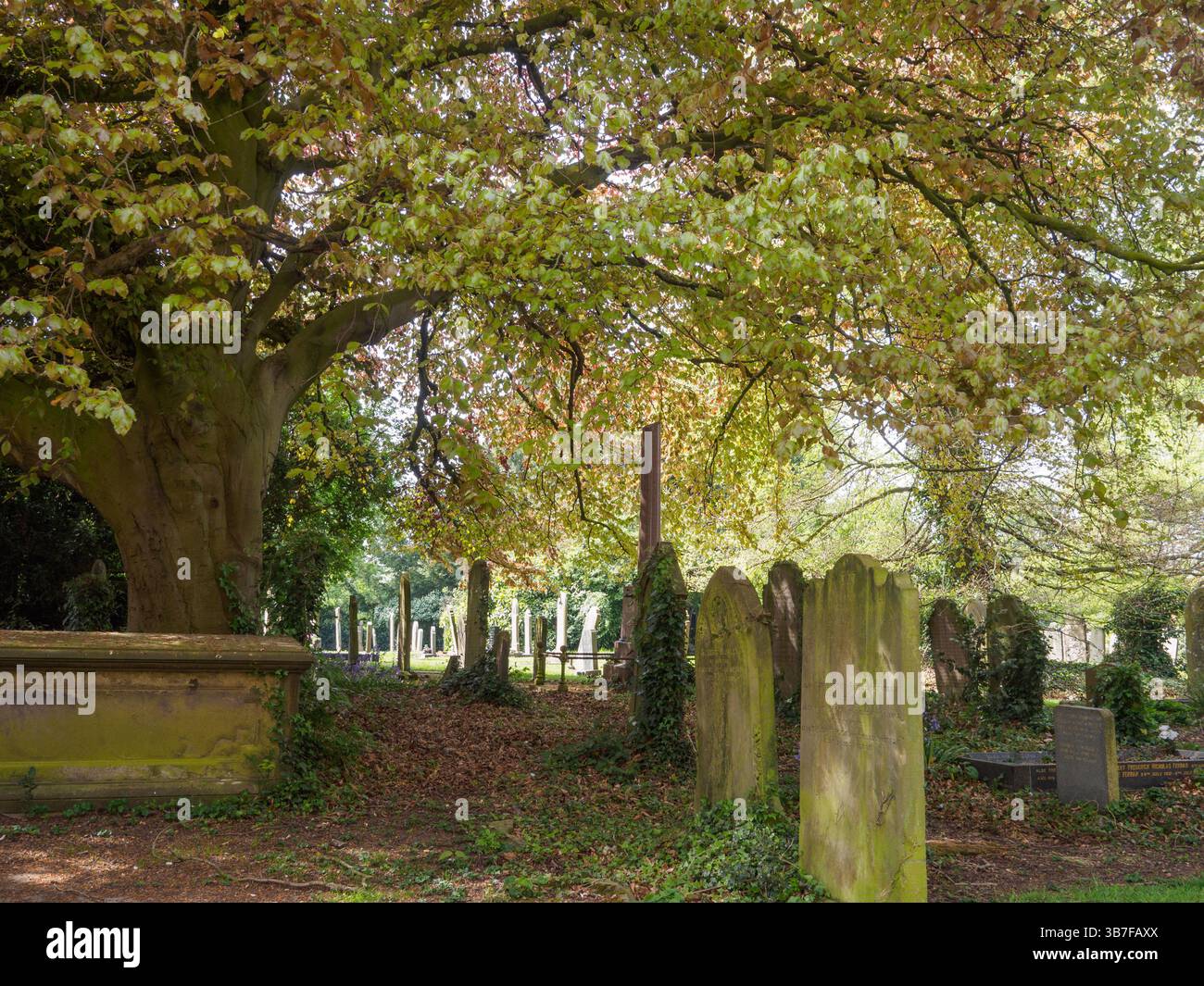 Howden Minster Graveyard Stock Photo - Alamy