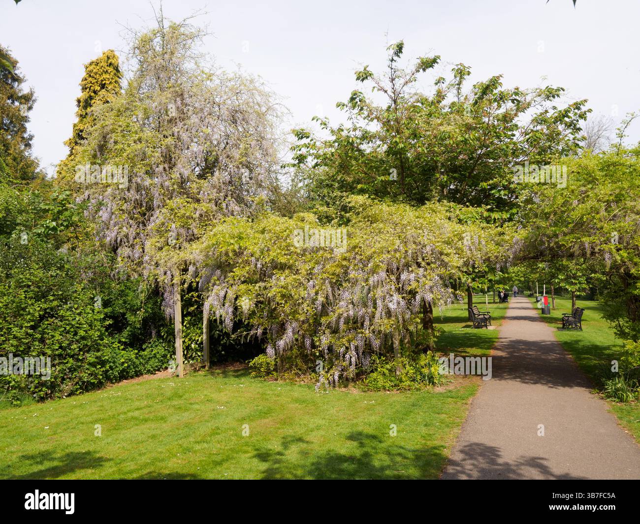 The Ashes Playing Fields Howden Stock Photo - Alamy