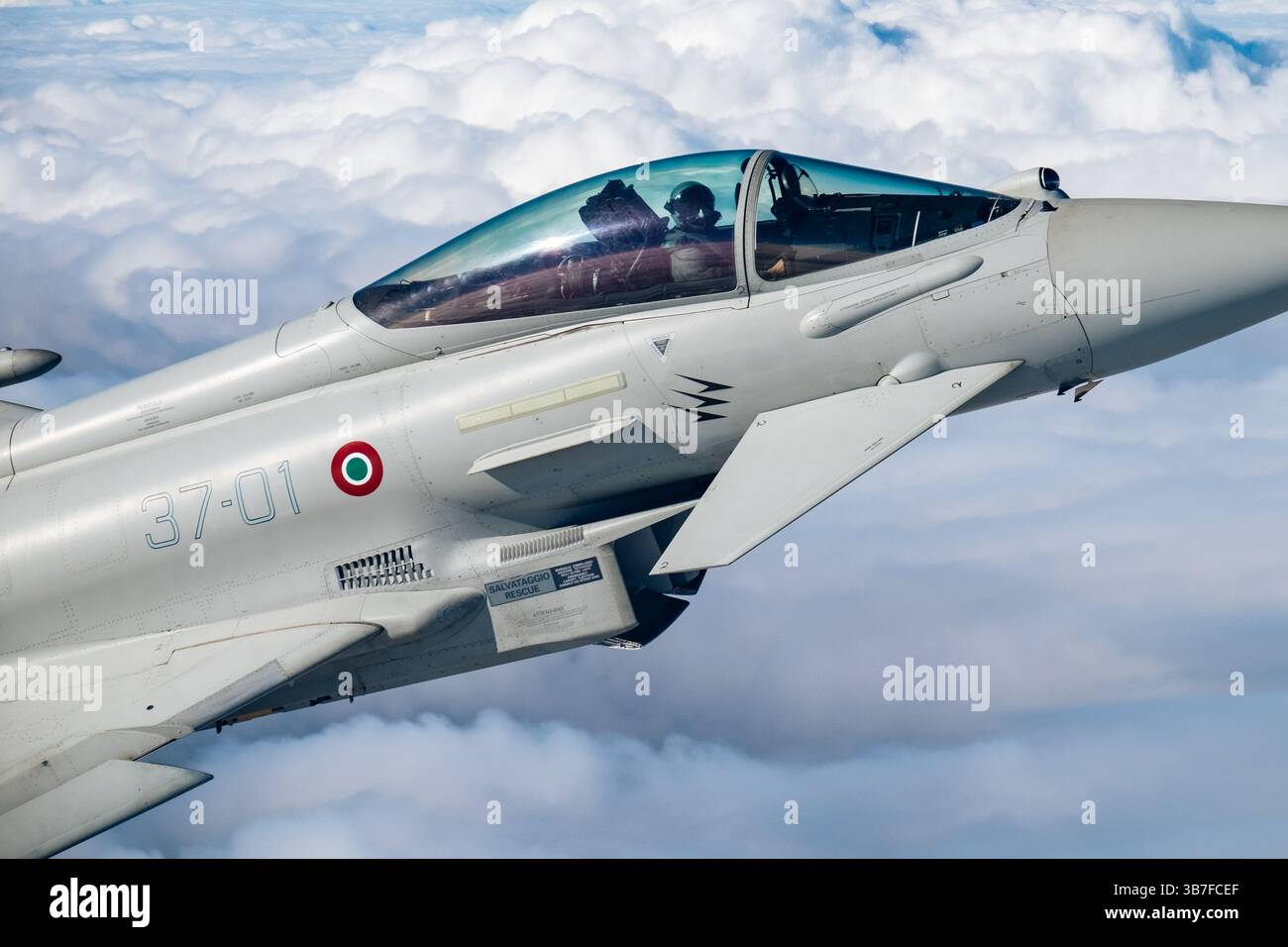 The Eurofighter EF-2000 Typhoon, with registration 37-01, is a high ...