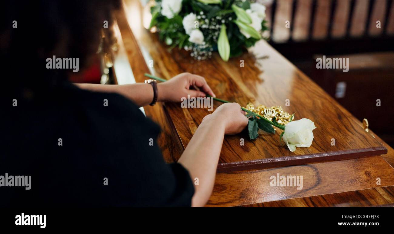 Hands, woman and rose at funeral for farewell, mourning death and goodbye at burial ceremony ...
