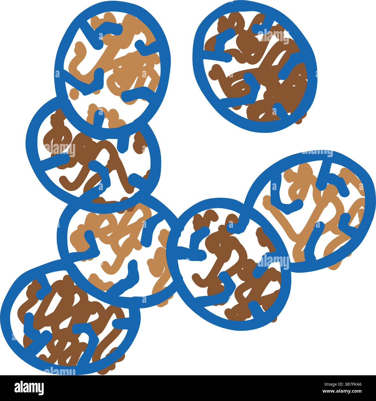 chia seed icon doodle illustration Stock Vector Image & Art - Alamy