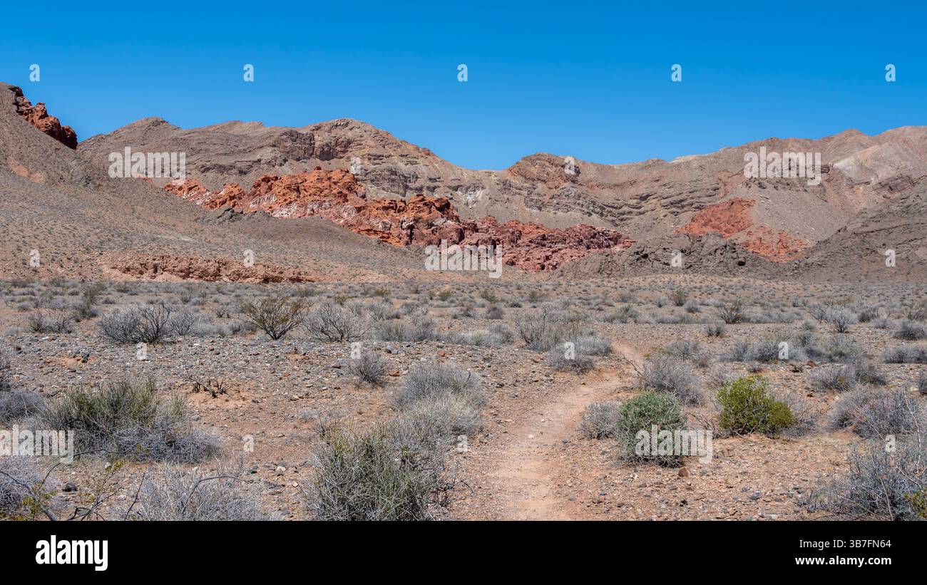 Out West1 '25 - Bowl of Fire (Aztec sandstone), Lake Mead National ...