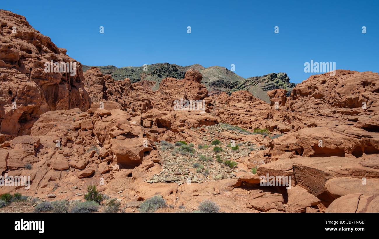 Bowl of Fire (Aztec sandstone), Lake Mead National Recreation Area ...