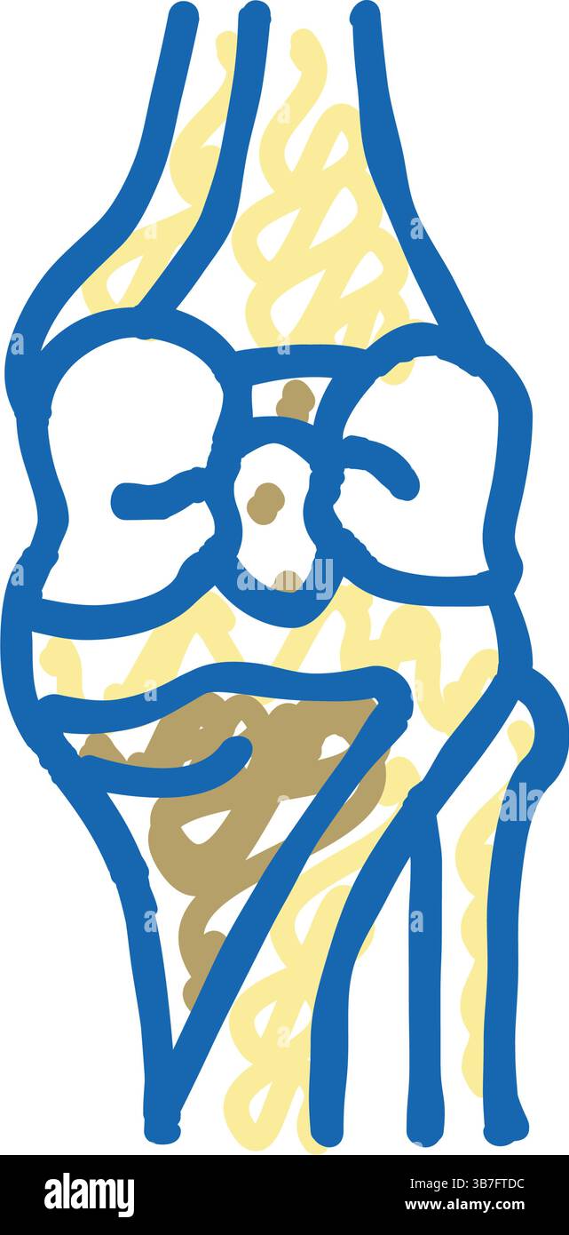 Knee bone color icon Cut Out Stock Images & Pictures - Alamy