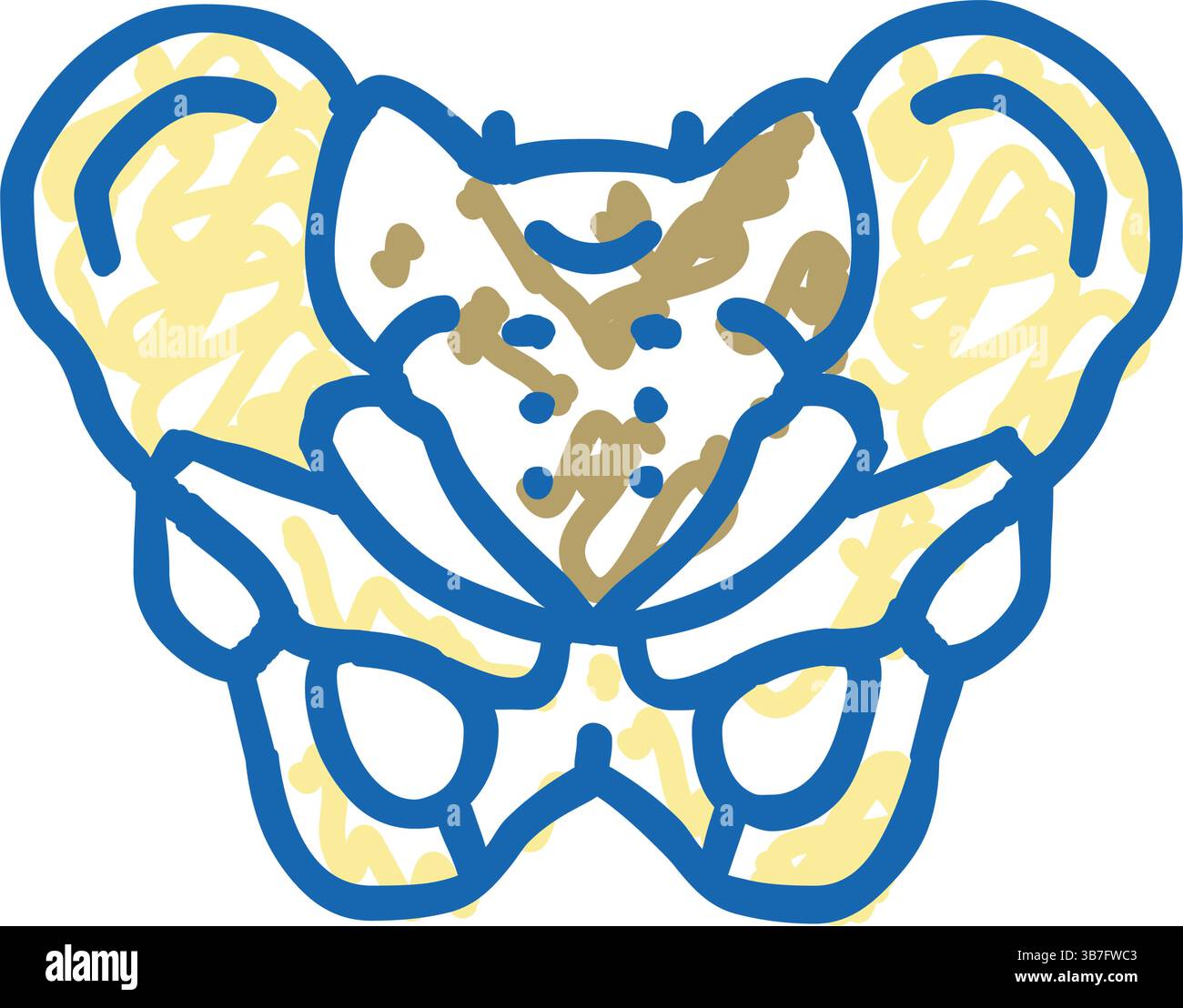 Pelvis bone color icon Cut Out Stock Images & Pictures - Alamy