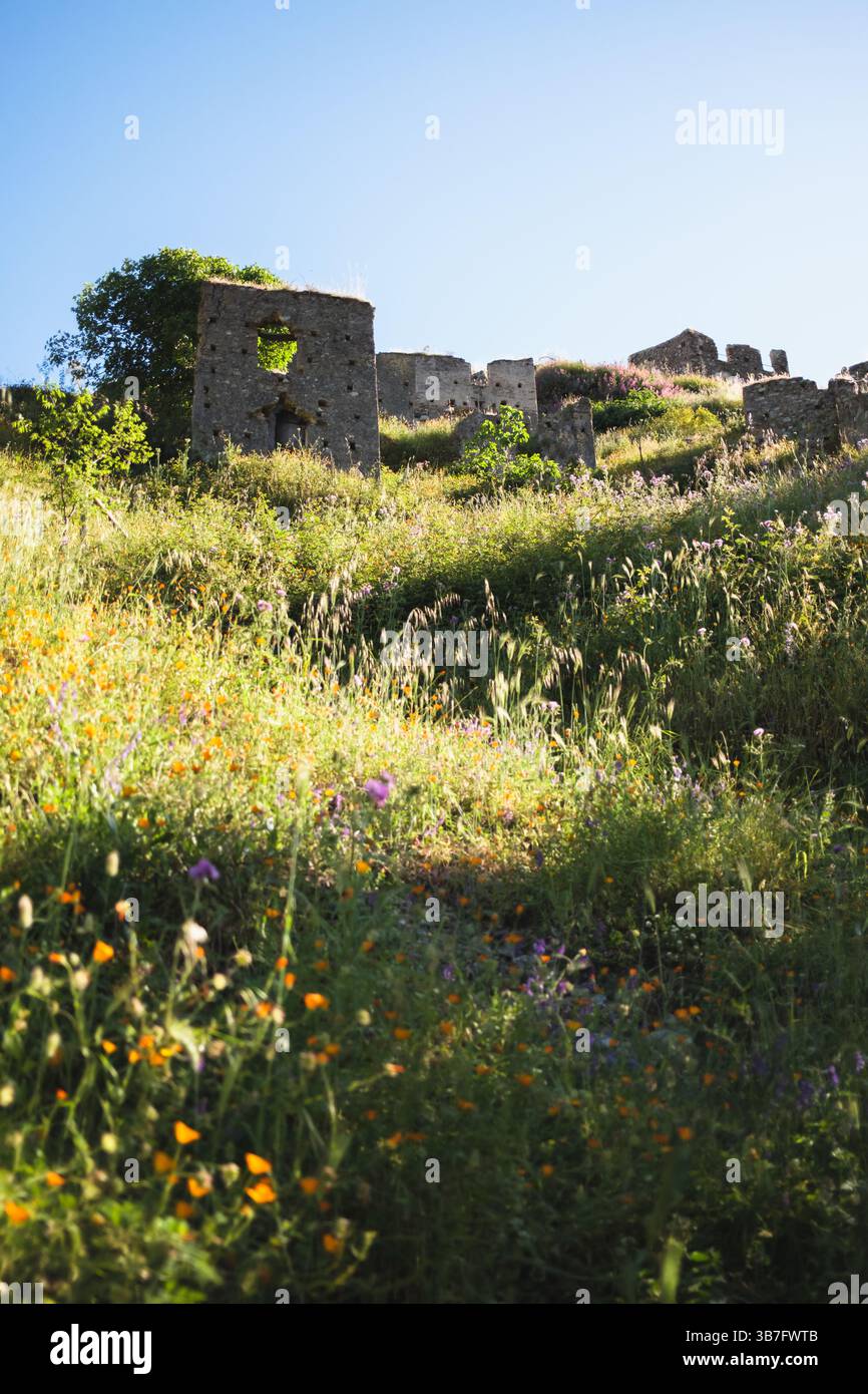 Abandoned village on flowery hill hi-res stock photography and images ...