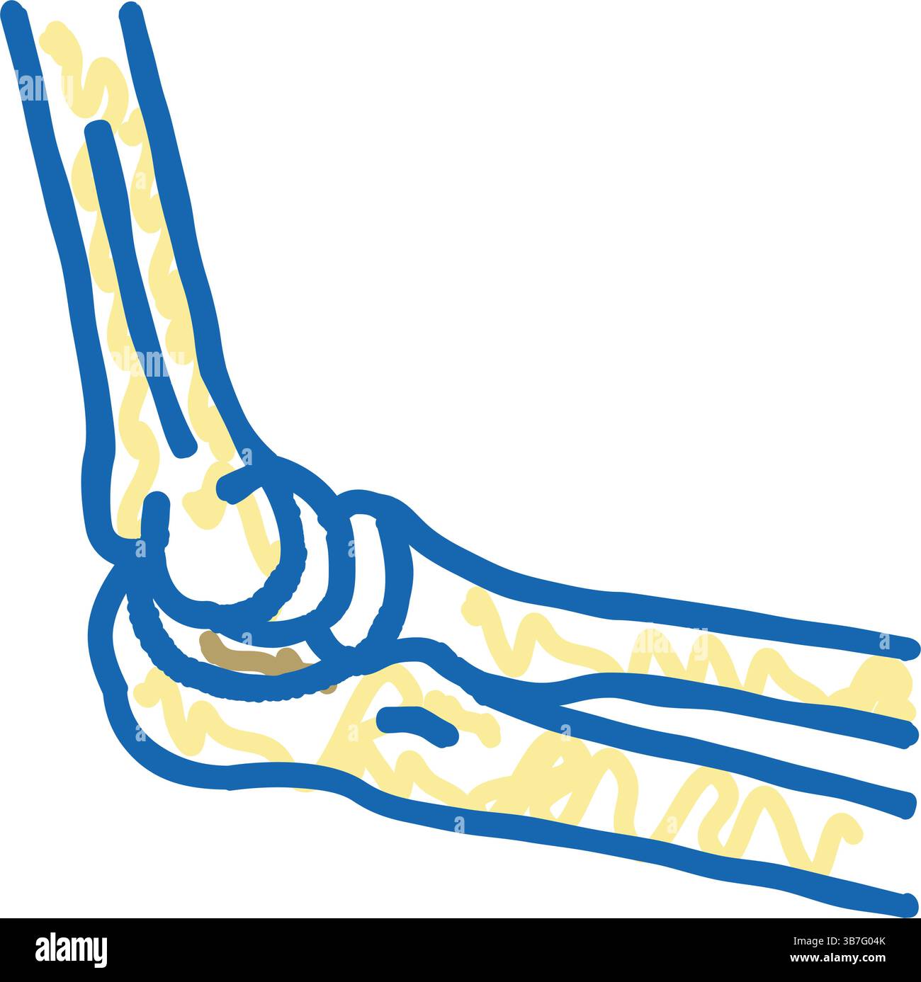 elbow bone icon doodle illustration Stock Vector Image & Art - Alamy