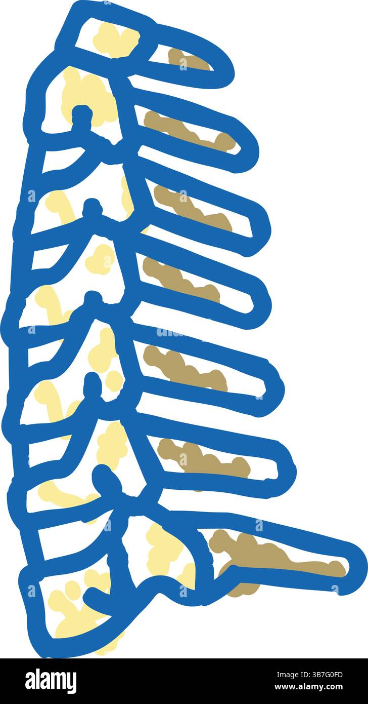 Neck bone color icon Stock Vector Images - Alamy