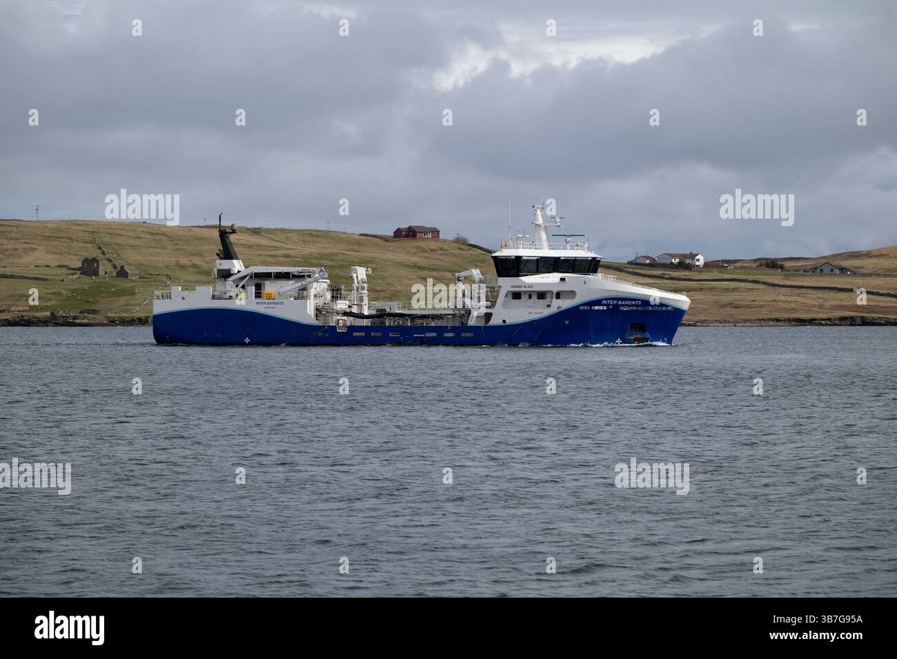 Intership fish carrier hi-res stock photography and images - Alamy