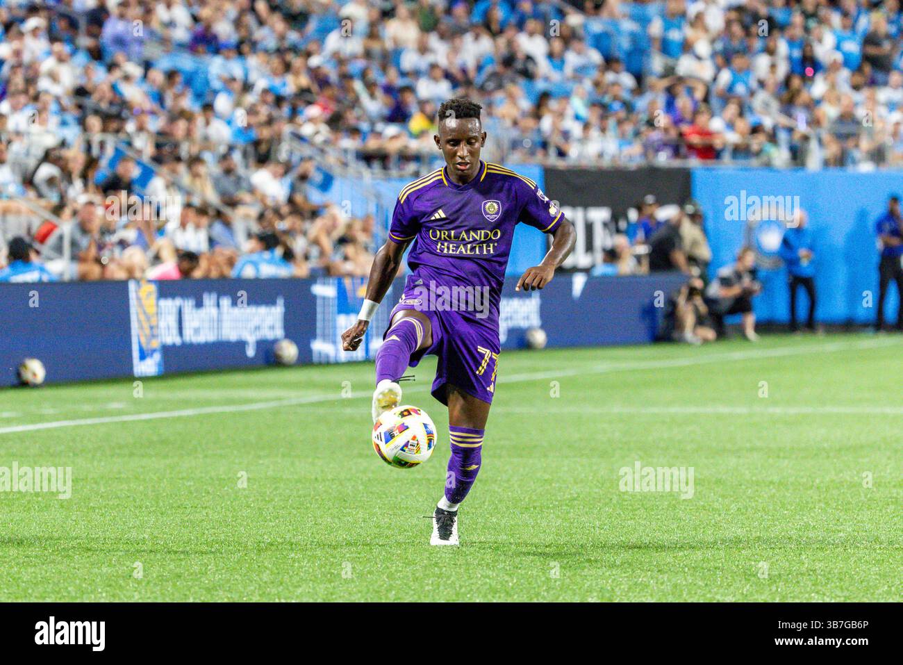 Carolina angulo hi-res stock photography and images - Alamy