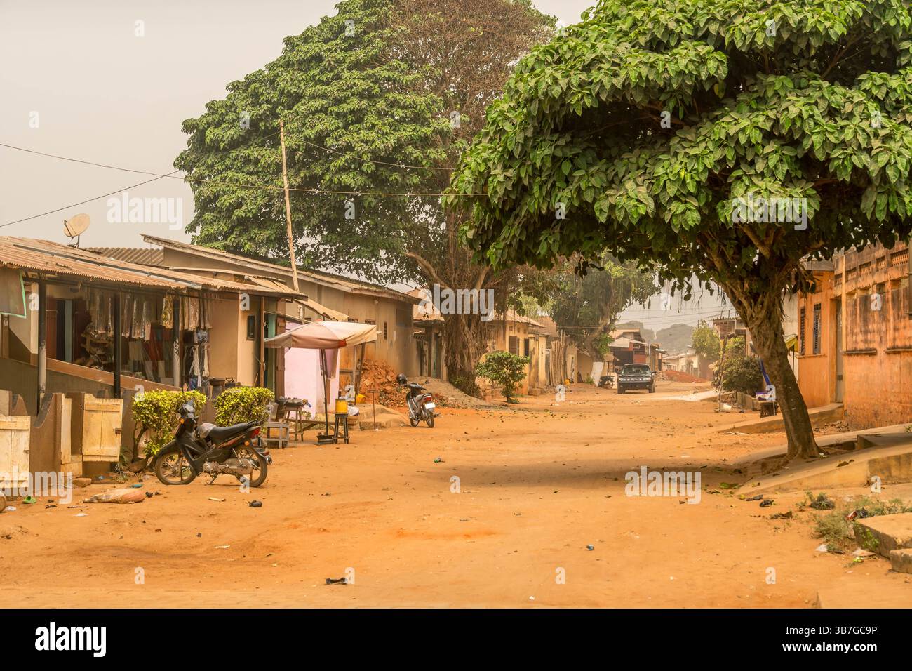 Dusty rural street in Ouidah, Benin lined with modest houses, lush ...