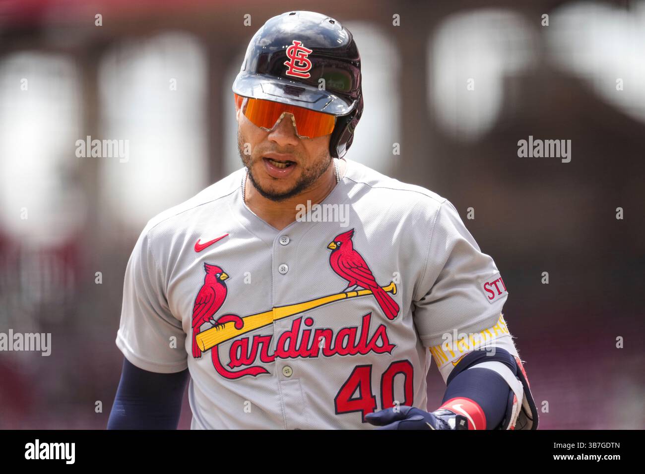 St. Louis Cardinals' Willson Contreras walks to the dugout during the ...