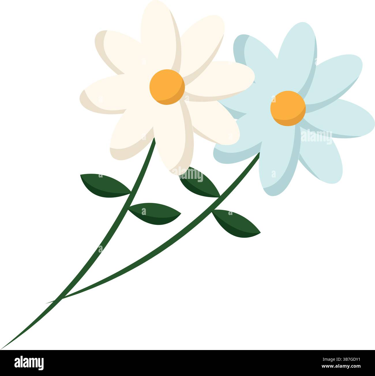 Two daisy flowers. Vector illustration Stock Vector Image & Art - Alamy