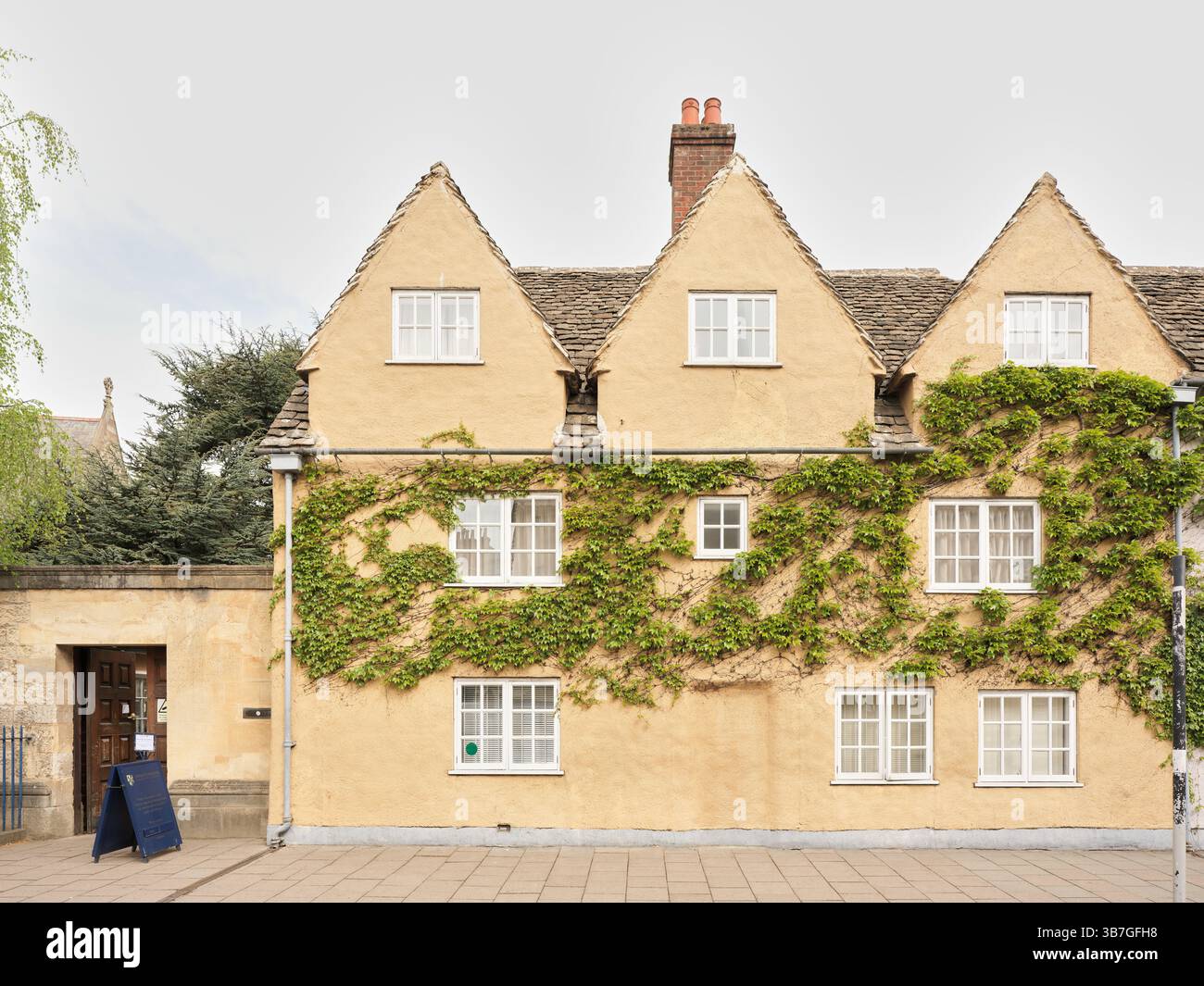 Ivy clad exterior wall hi-res stock photography and images - Alamy
