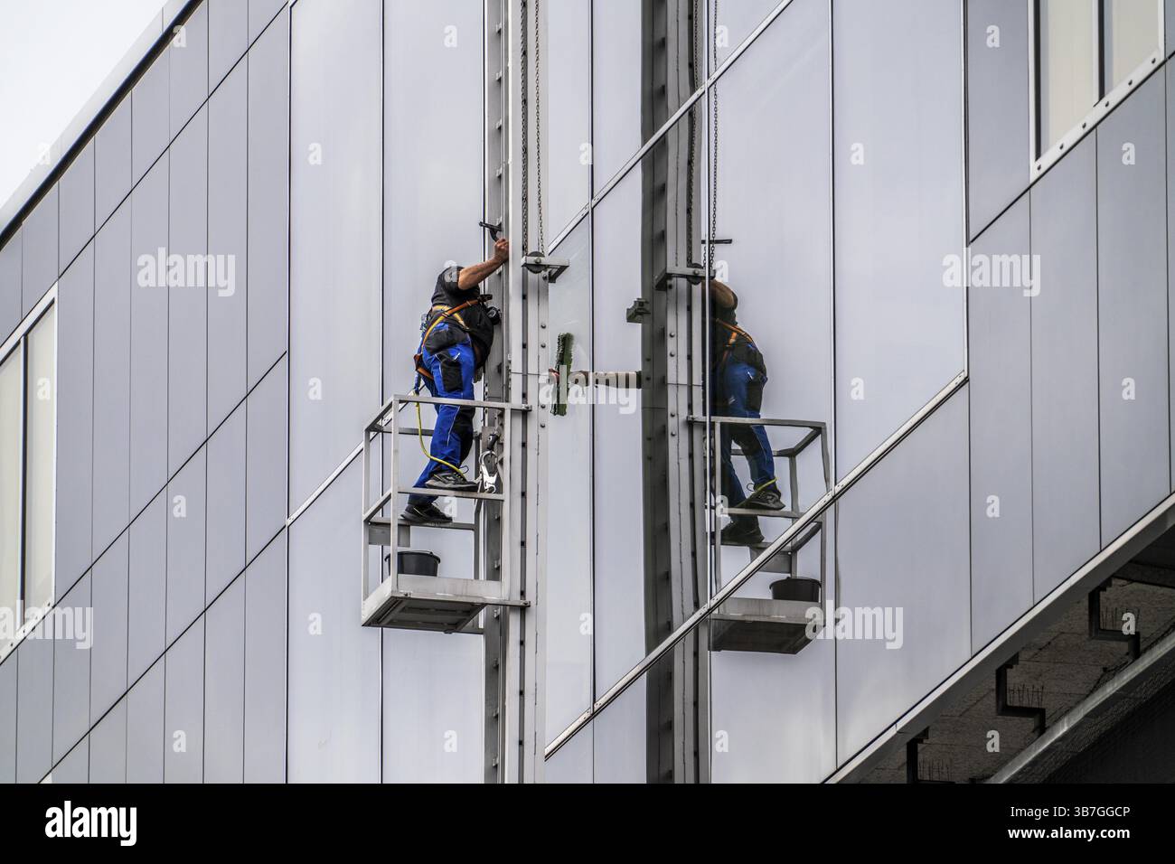 Window cleaner, facade cleaning, window cleaning, on a glass facade in ...