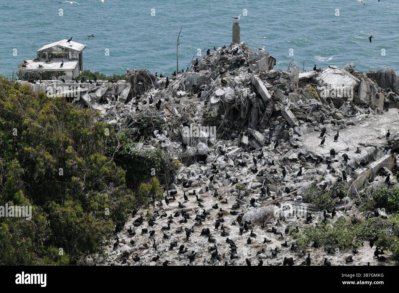 The notorious Alcatraz Island and maximum-security federal penitentiary ...