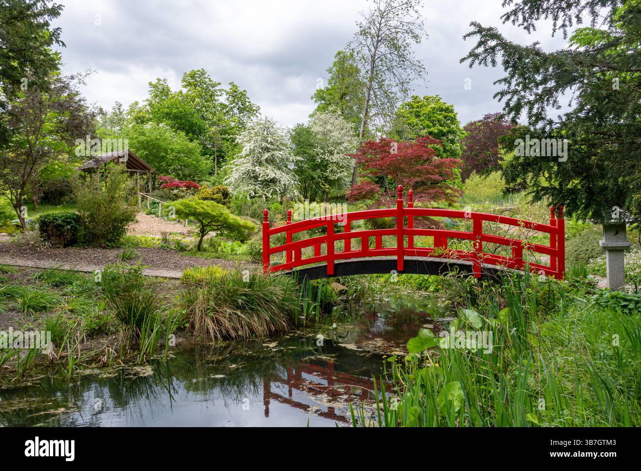 The Japanese Garden at Gatton Park, a country estate near Reigate ...