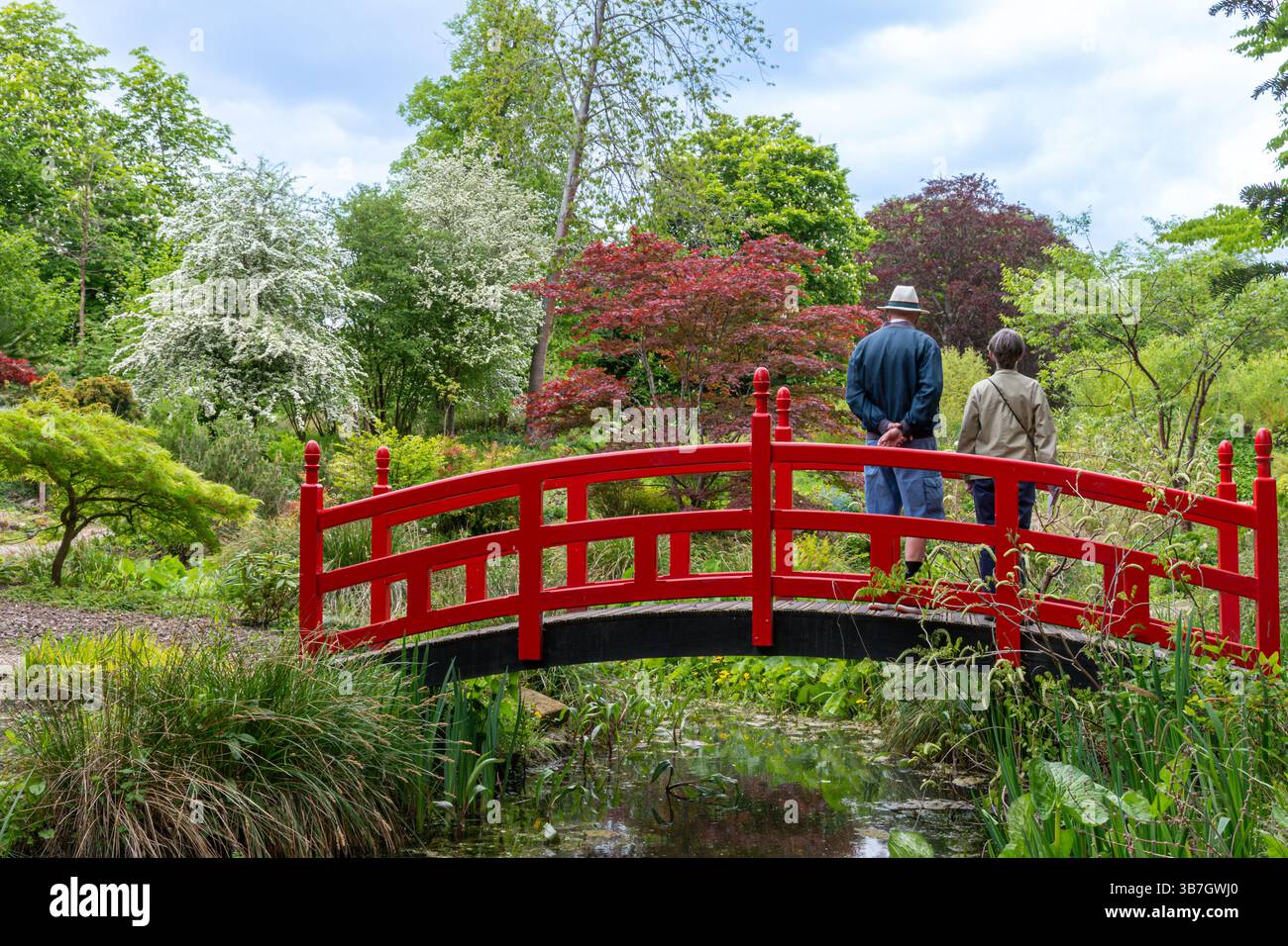 The Japanese Garden at Gatton Park, a country estate near Reigate ...