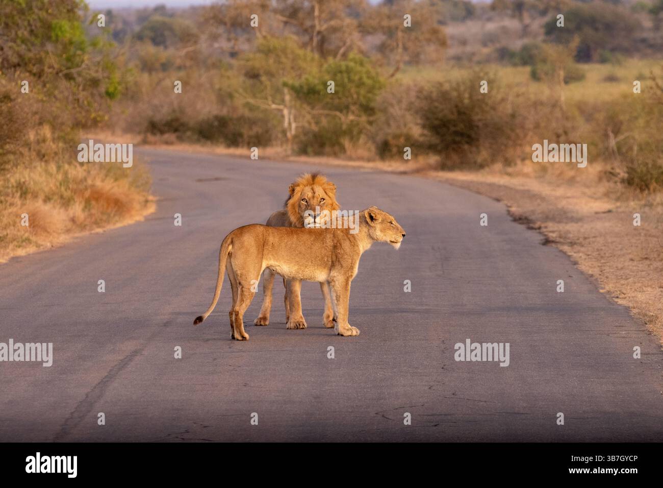 Lower sabie road hi-res stock photography and images - Alamy