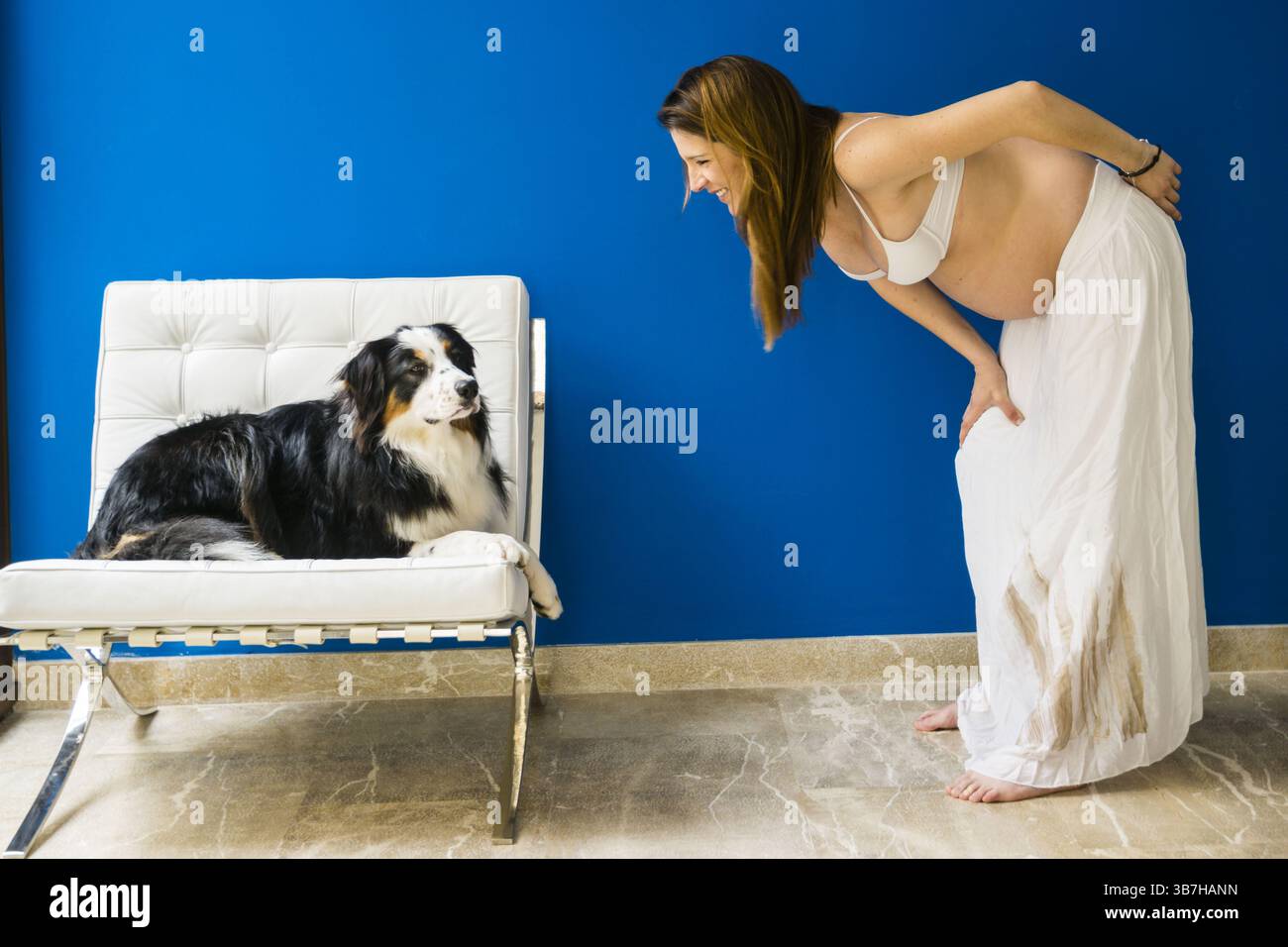 Perro abdomen hi-res stock photography and images - Alamy