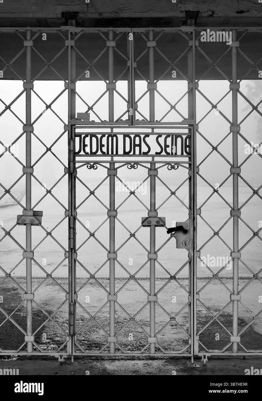 Gates forest Black and White Stock Photos & Images - Alamy