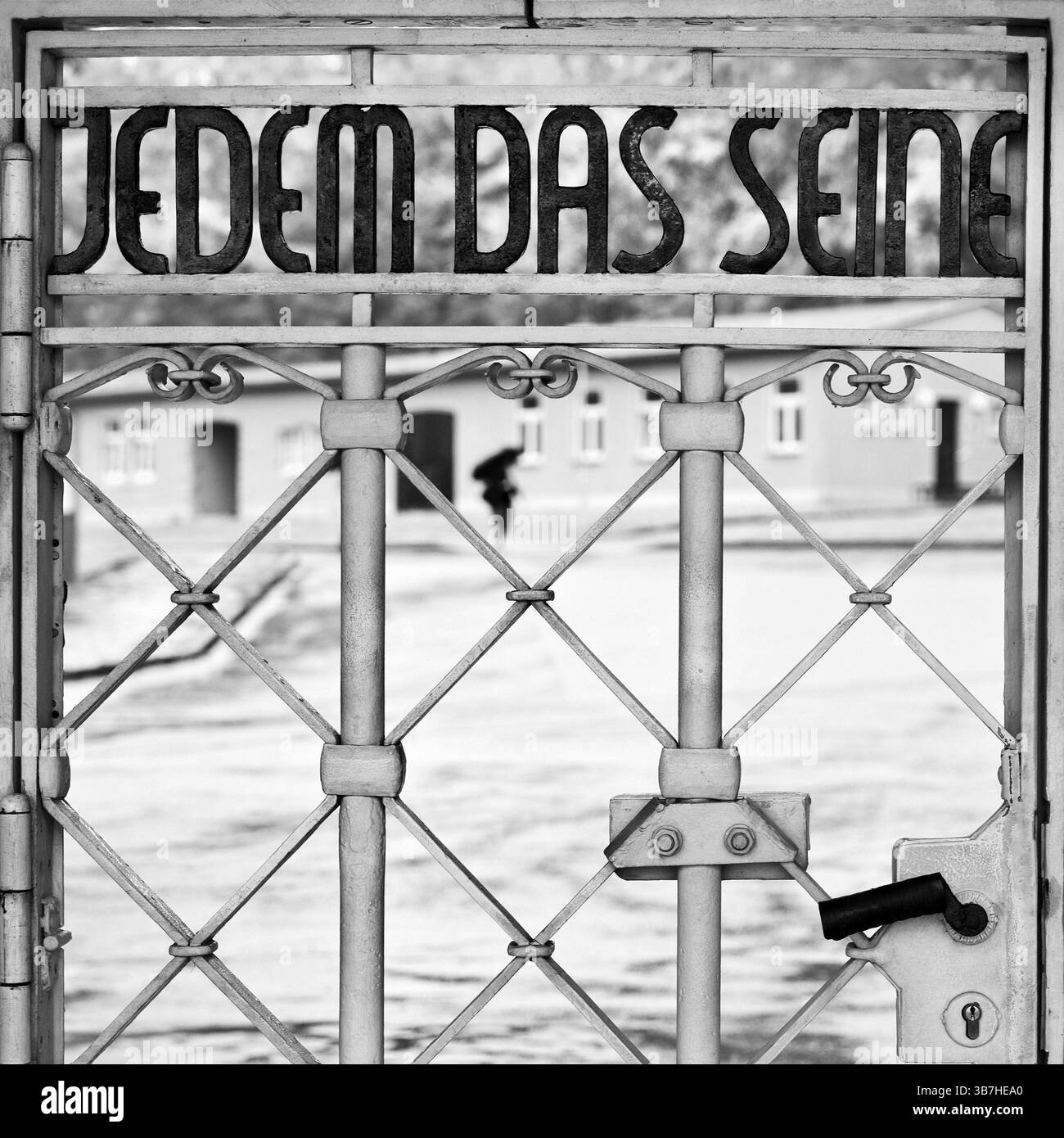 Gates forest Black and White Stock Photos & Images - Alamy