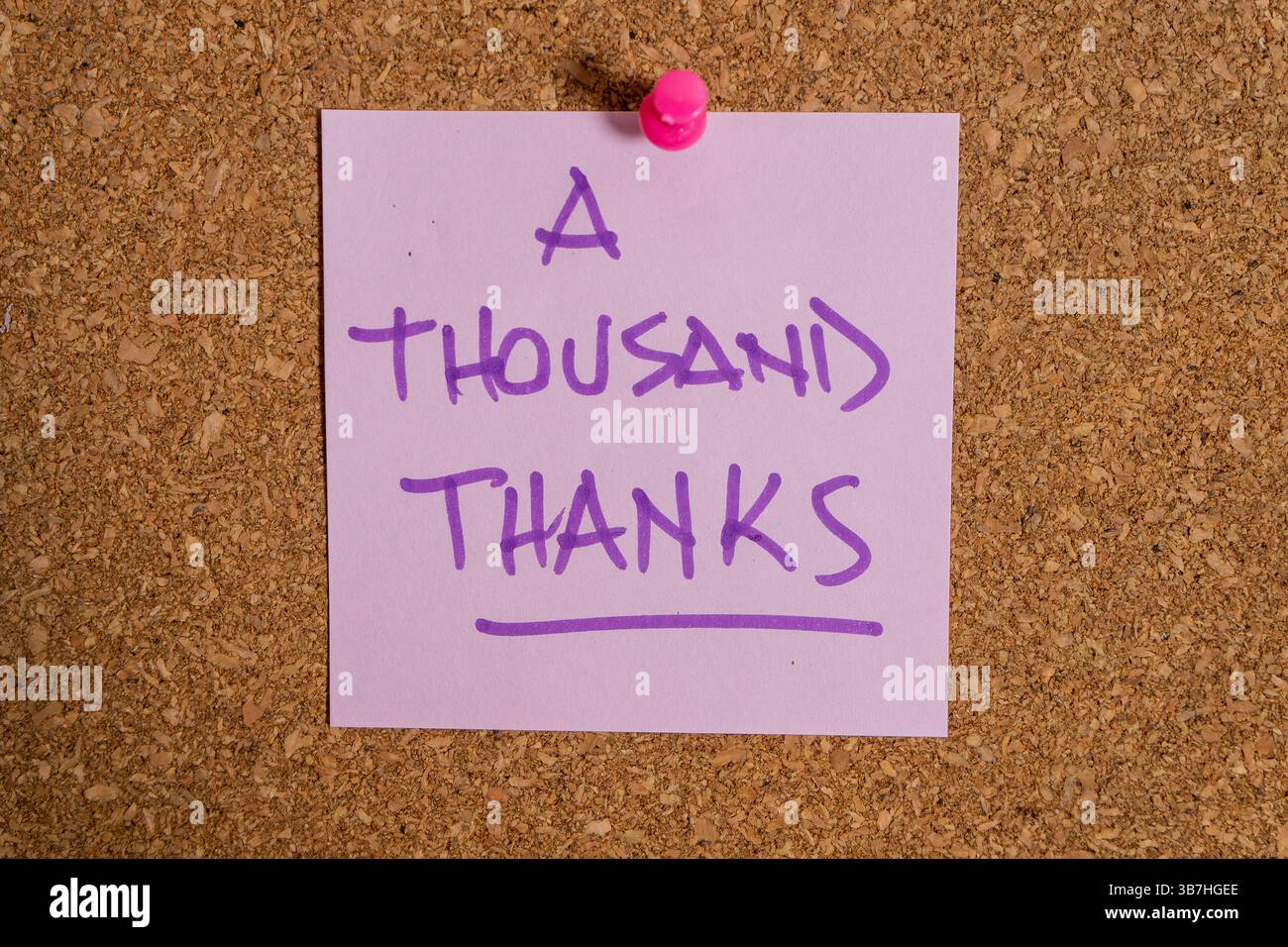 Purple sticky note on corkboard expressing a thousand thanks Stock ...