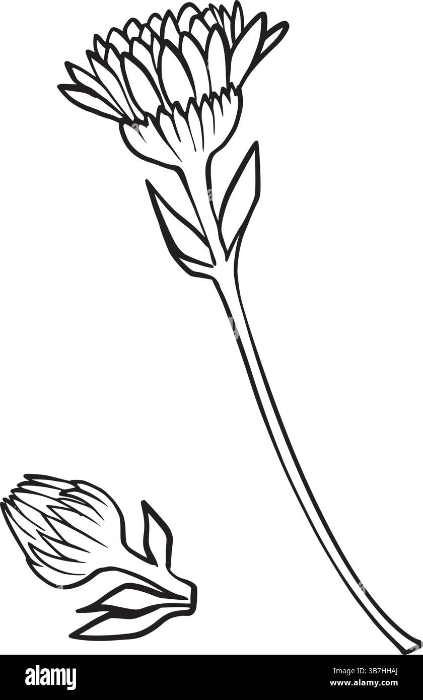 Medical art prints Black and White Stock Photos & Images - Alamy