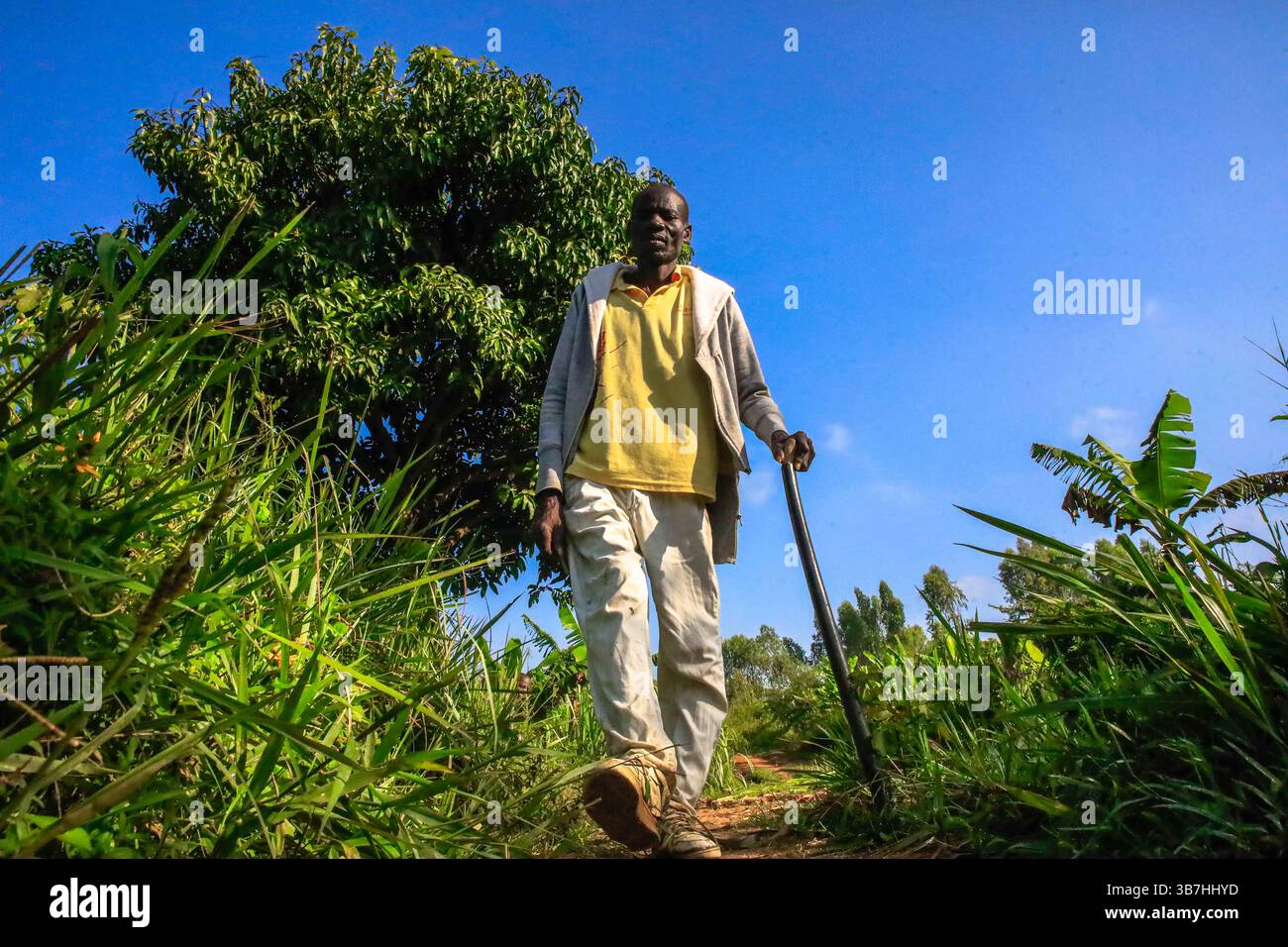 February 17, 2024, Siaya, KENYA: Mr George Airo walks through his ...