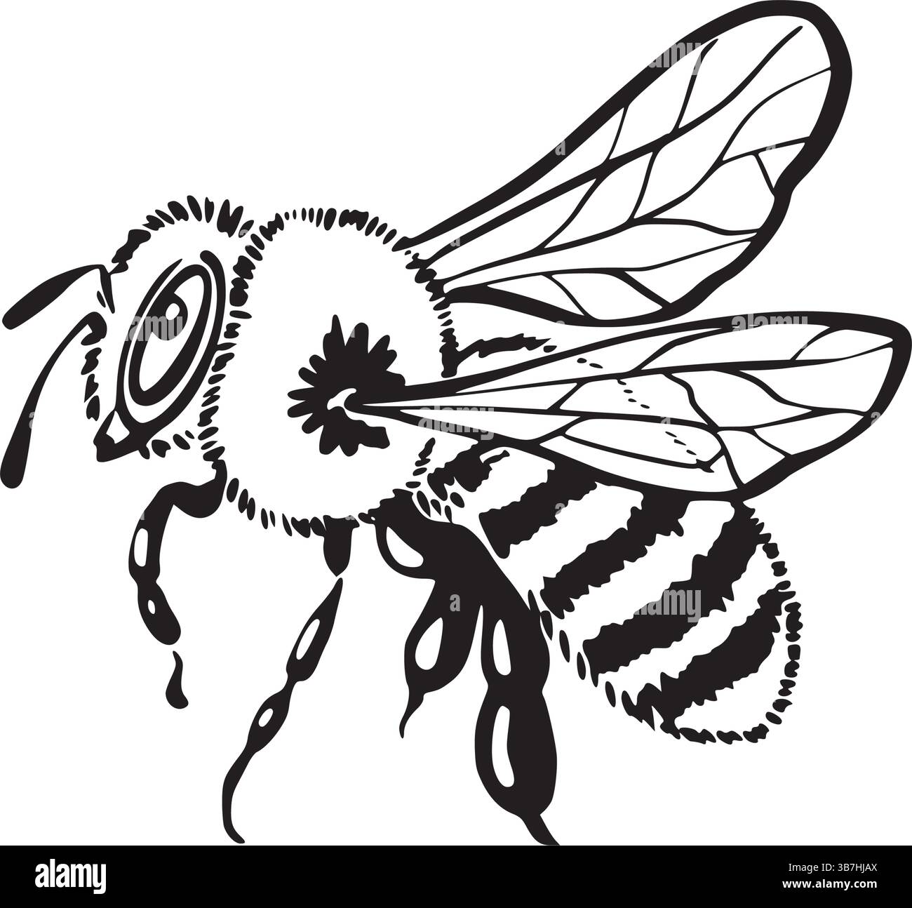 Bee vector illustration on white background. Ideal for eco packaging ...