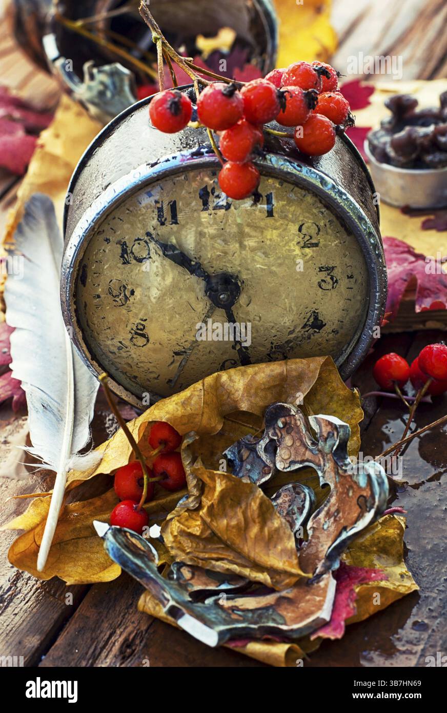 Autumn still life.the composition with the fallen leaves Stock Photo ...