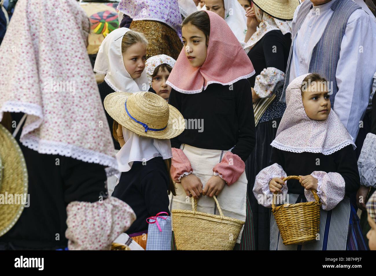 Bendicion de los animales de Sant Antoni, patron de los animales ...