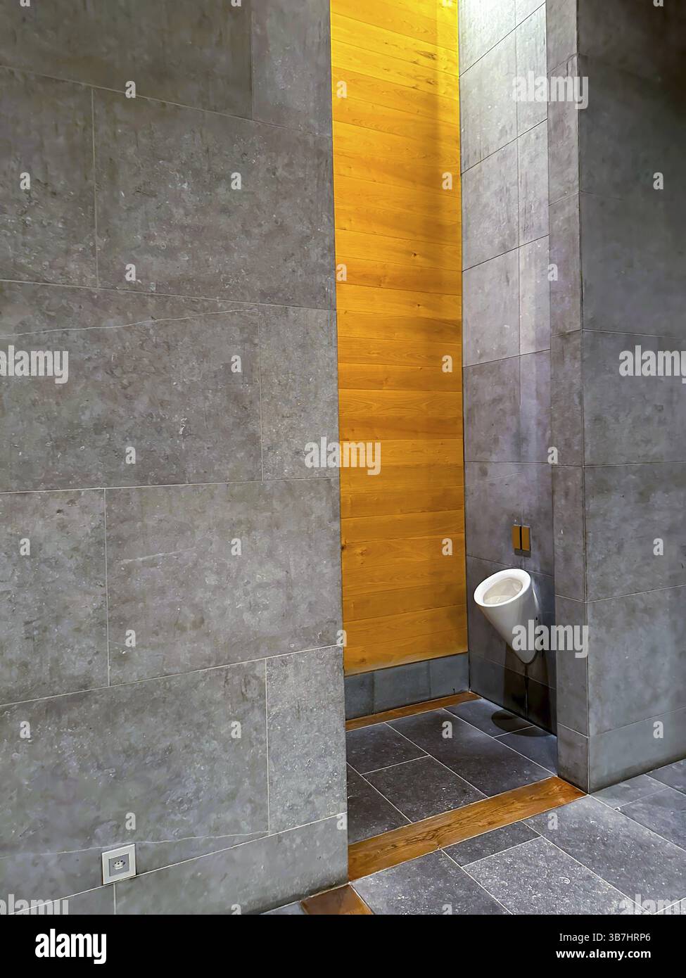 Luxury Men Urinal Bathroom with Wood and Stone Wall in Switzerland ...