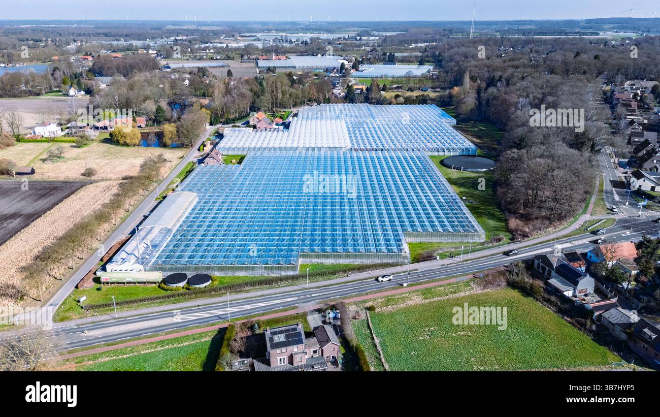 Greenhouse aerial drone view background from above, large industrial ...