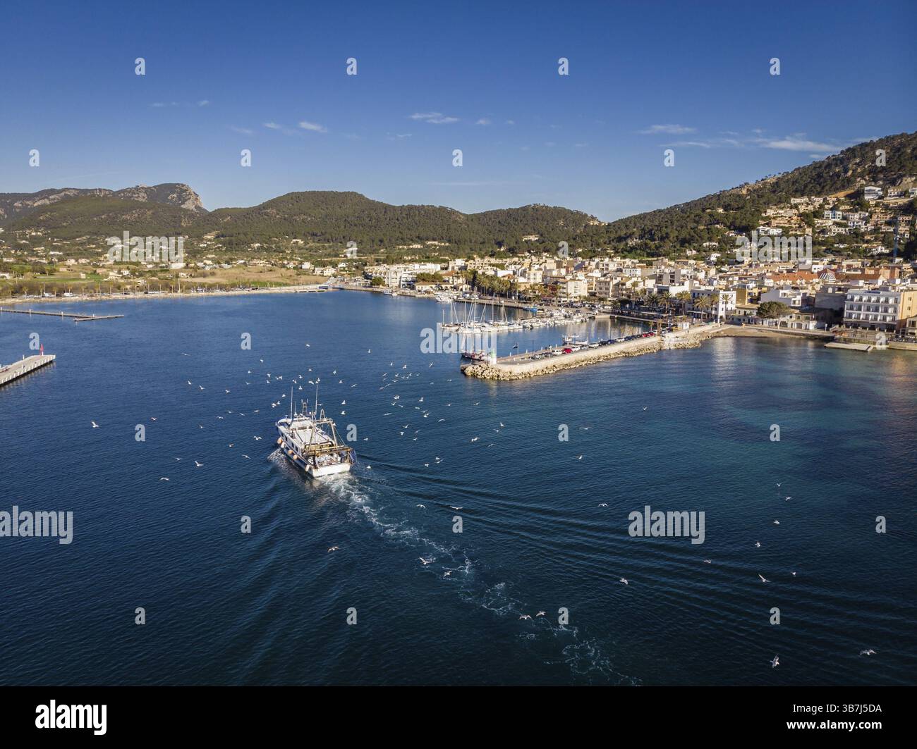 Bou fishing boat entering the harbour, Andratx, Majorca, Balearic ...