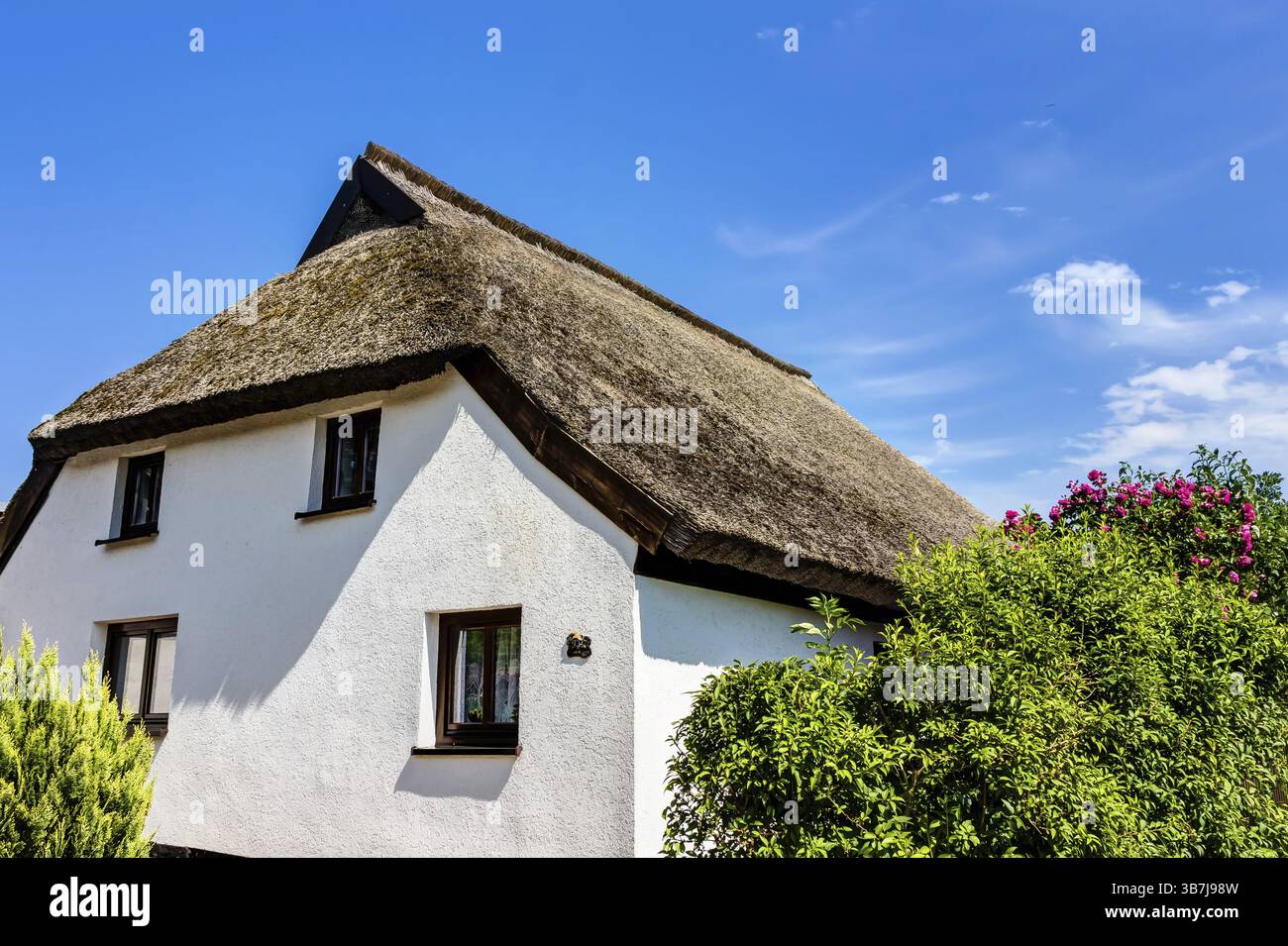 Traditional thatching roof house in Vitt on Rugia Stock Photo - Alamy