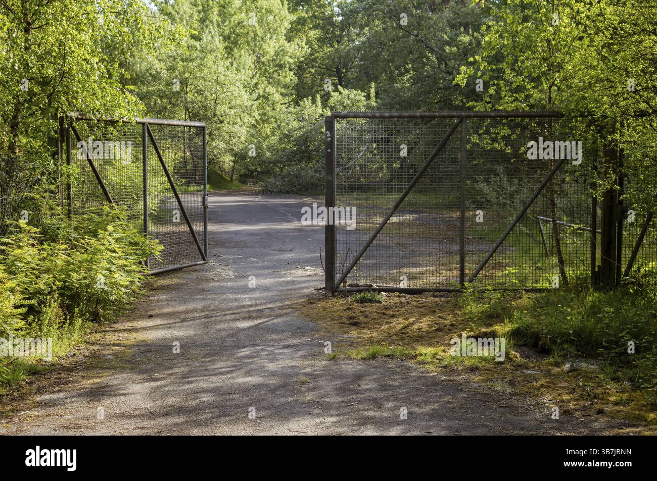 Slightly open rusty metal gate with wire mesh leading to an abandoned ...