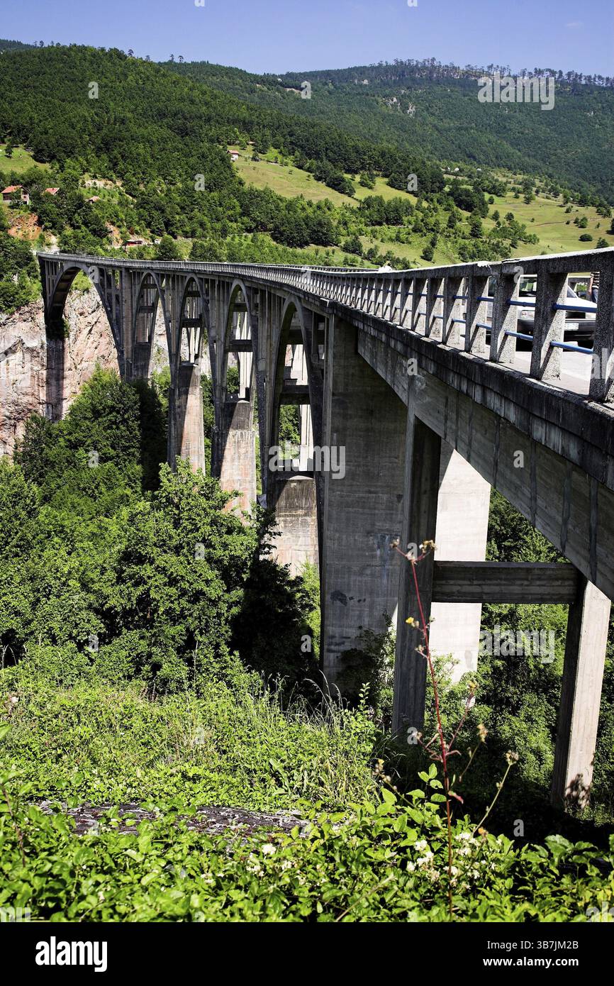 Tara gorges hi-res stock photography and images - Alamy