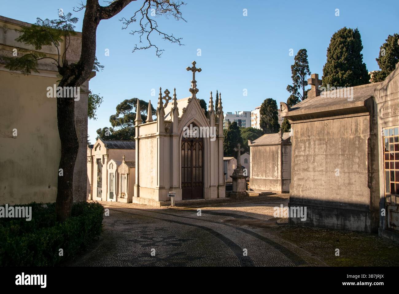 Overgrown cemetery with old crypt and cracked grave markers Stock Photo ...