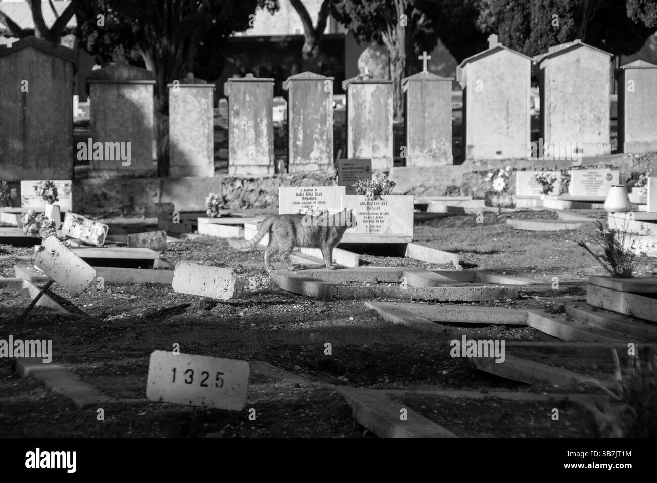 Cemetery scene with vintage stone tomb and weathered graves Stock Photo ...