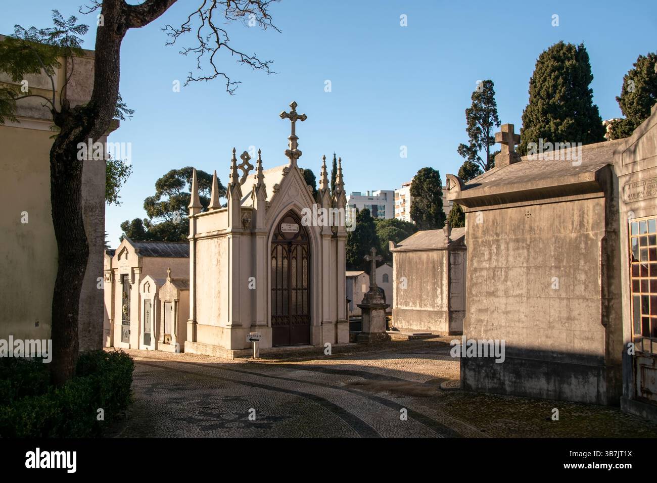 Mysterious old graveyard with ancient burial crypt and headstones Stock ...